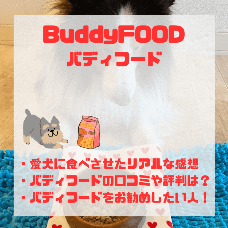 Buddy FOOD（バディフード）を愛犬に試したリアルな口コミ！愛用者の評判を徹底リサーチ！ | 毎日がRainbow days 365～気 ...